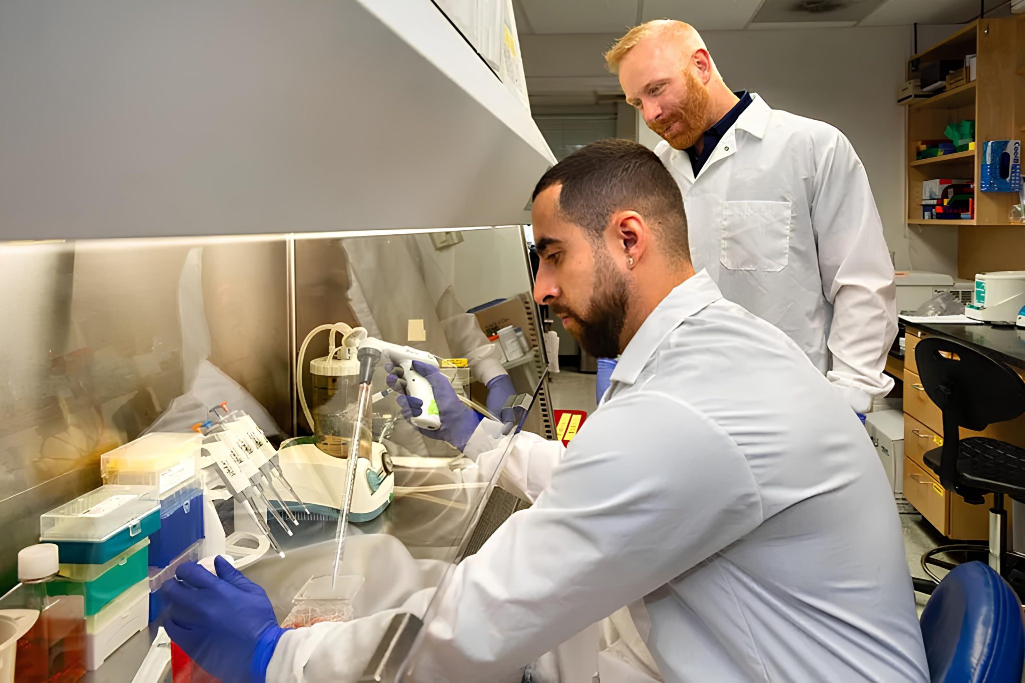 Are lab-grown dairy proteins truly identical to natural dairy? New ...