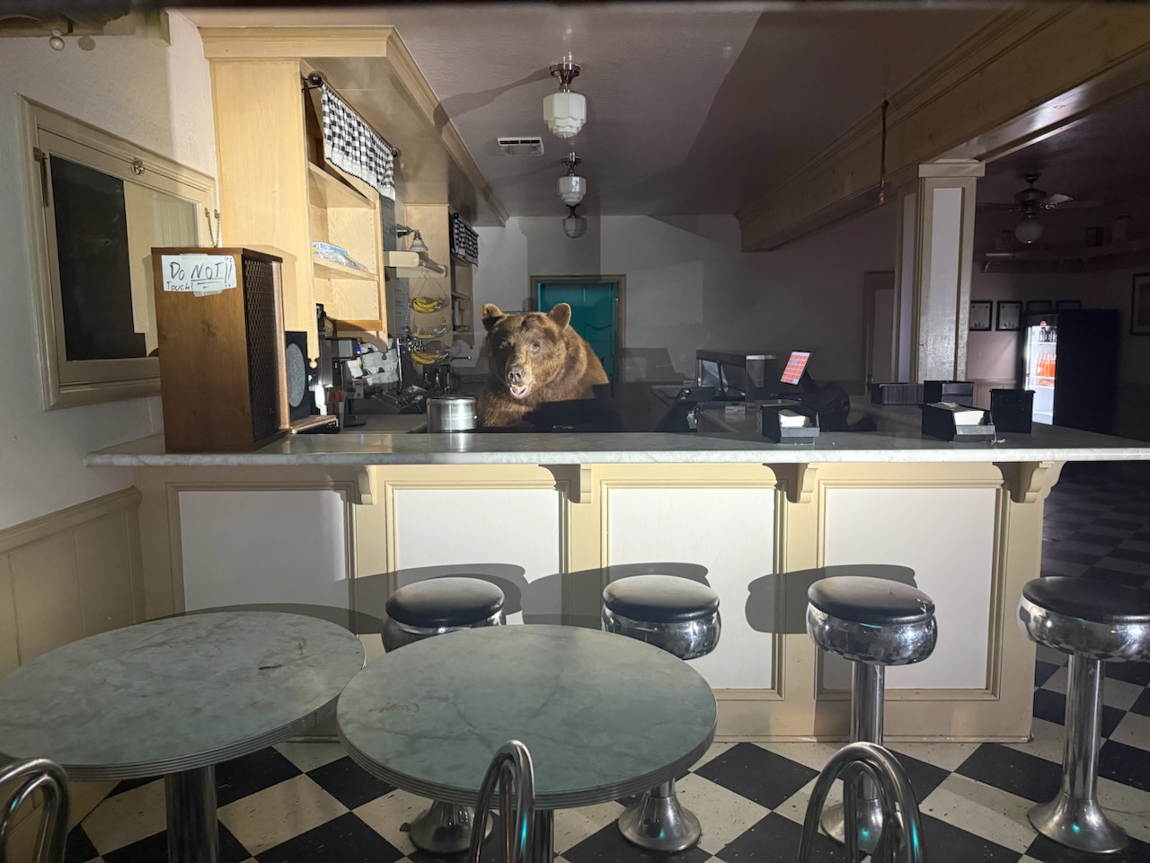 Bear breaks into Camp Richardson ice cream shop | TahoeDailyTribune.com