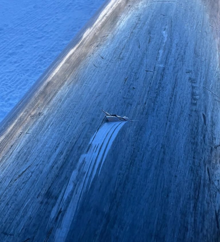 Final day of Toyota U.S. Grand Prix leaves Jamie Anderson hurt and ...