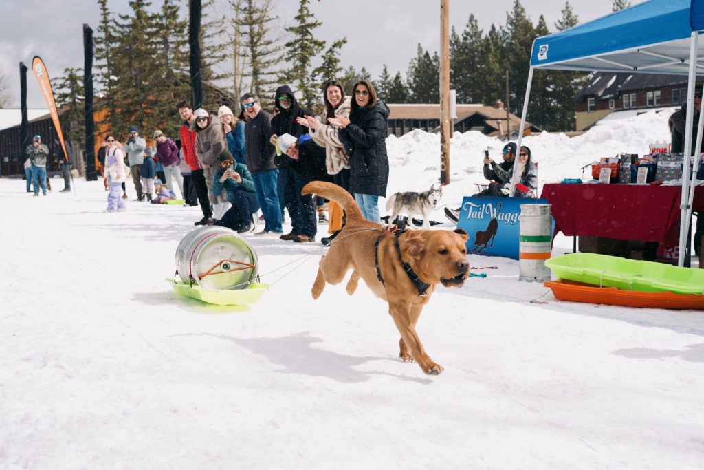 Action this week: SNOWFEST, Heavenly Pride Day, and more ...