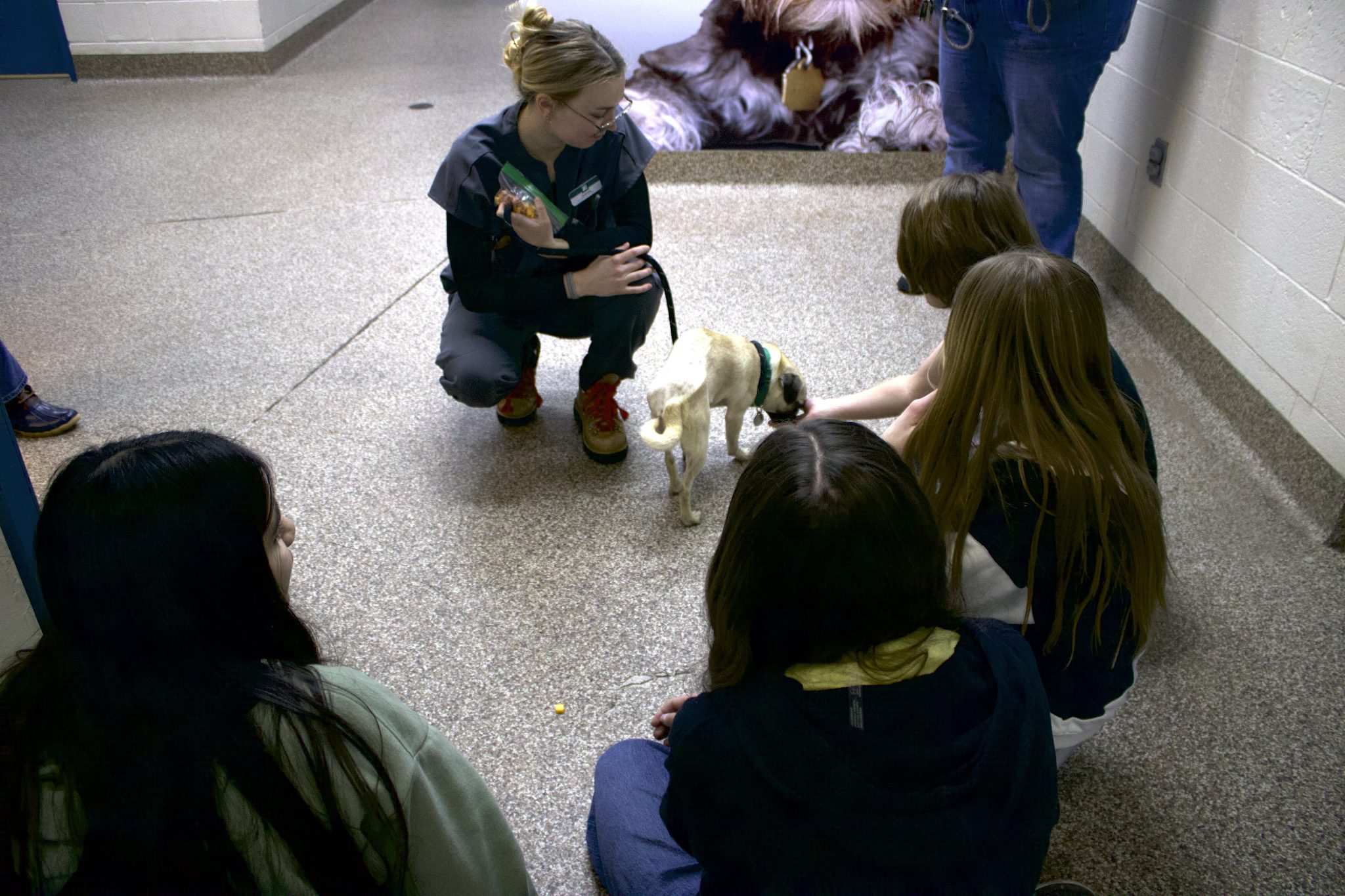 Incline Middle School’s Exploratory Class at Pet Network; Community ...