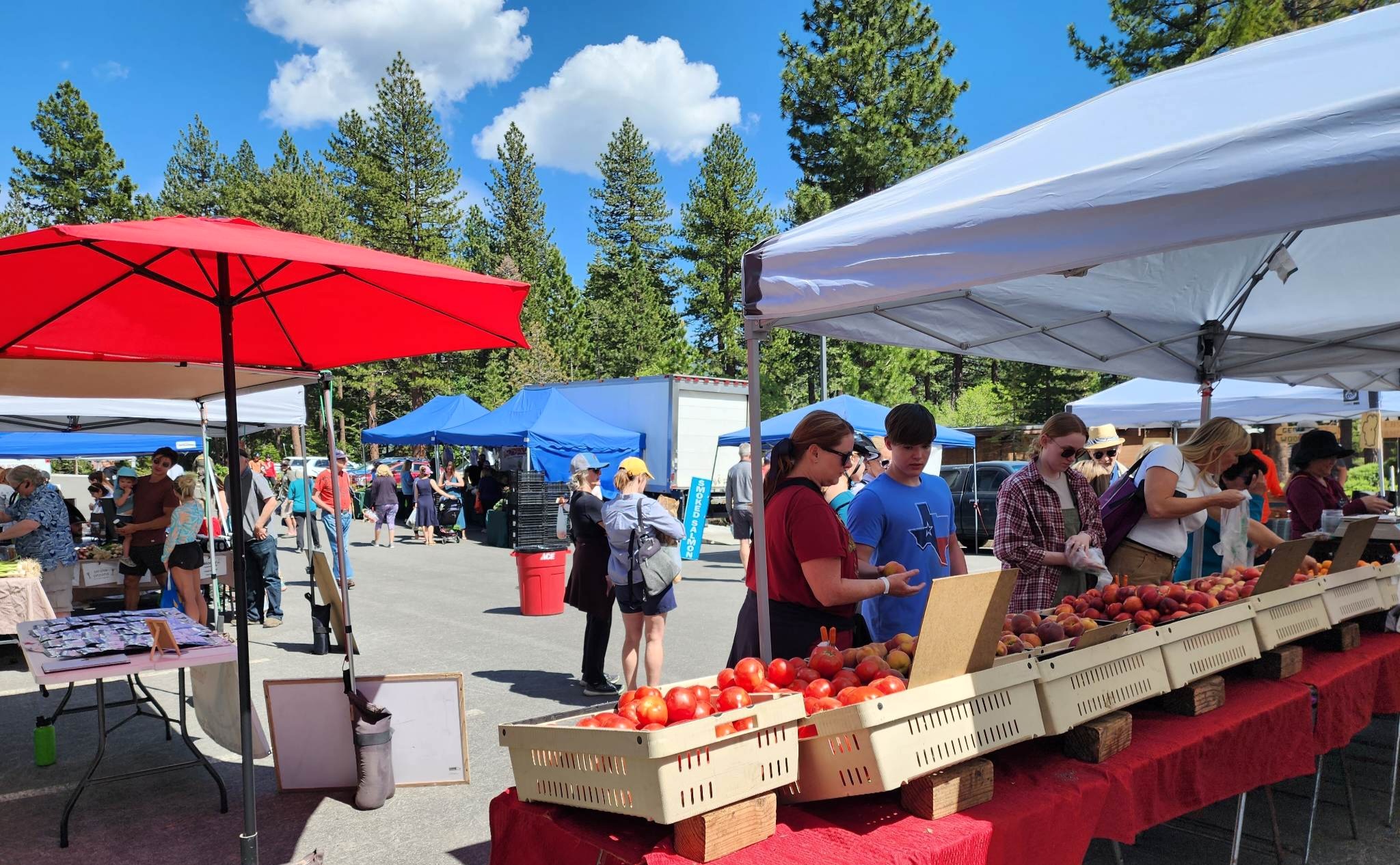 Incline Village Farmers Market moves from Incline Village Library ...