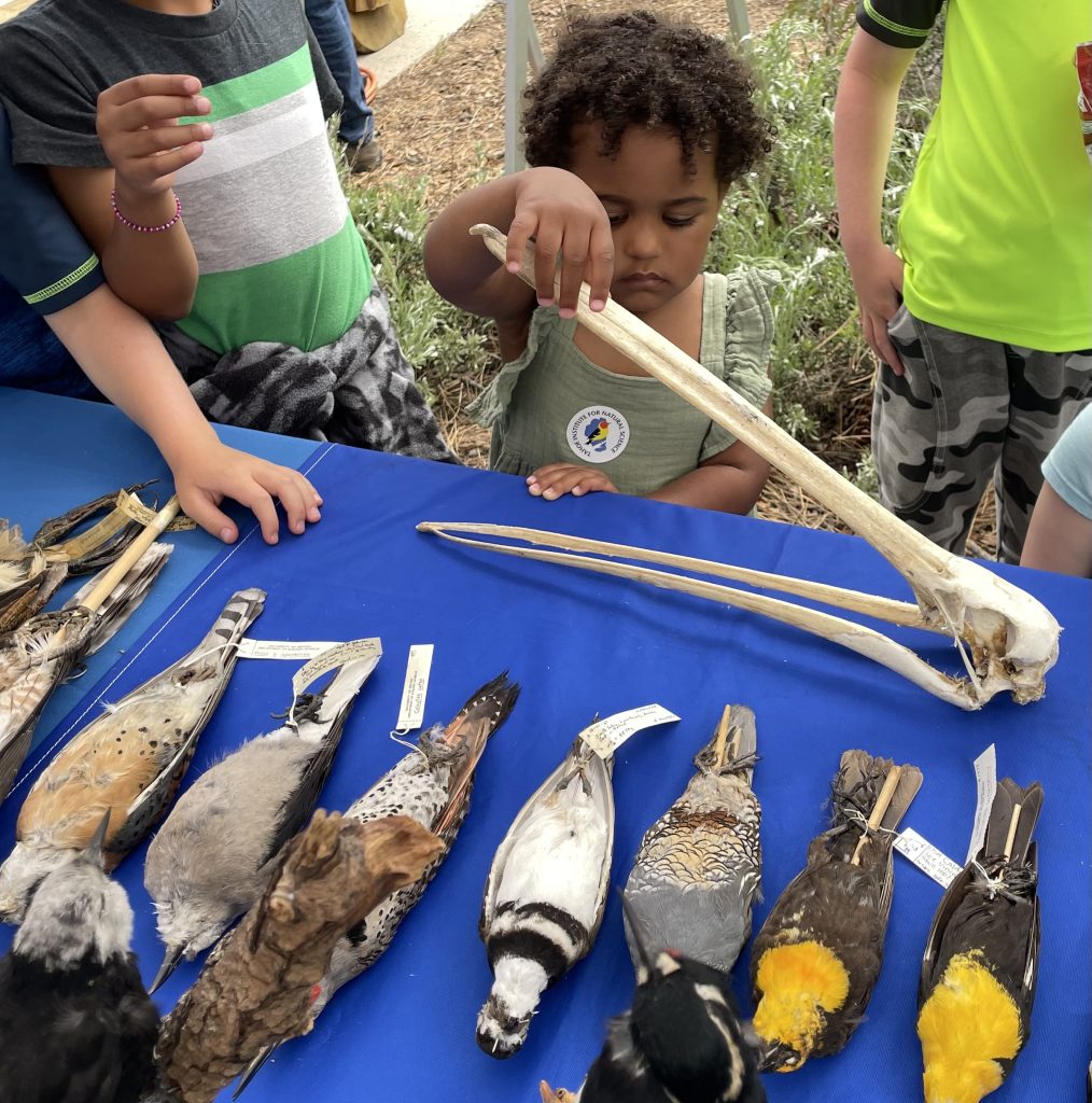 Wild Tahoe Festival: Tahoe untamed at Taylor Creek Visitor Center ...